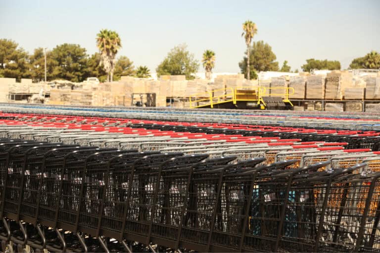Shopping Cart Rental - The Peggs Company